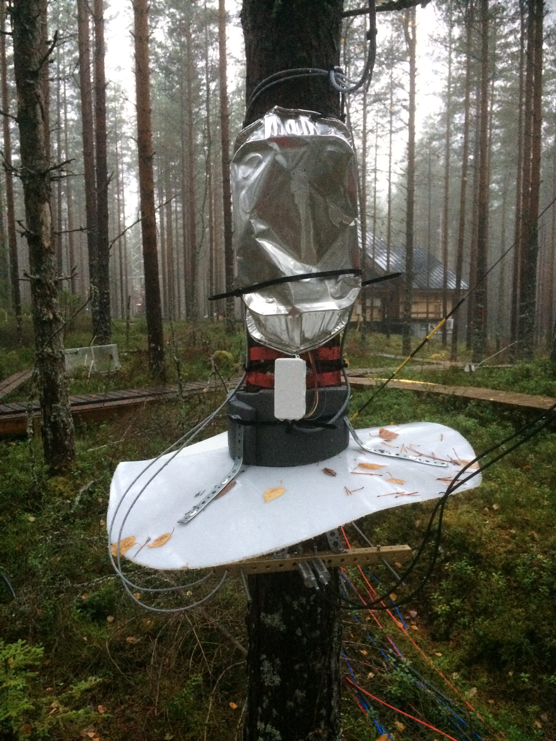 Heading to the forest (I) – Studio|Lab|Forest